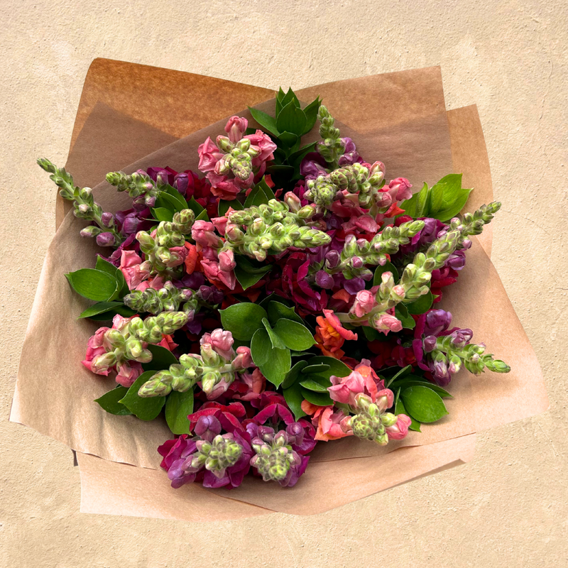 Send Flowers - Flower Delivery | Fresh Flowers on Florida