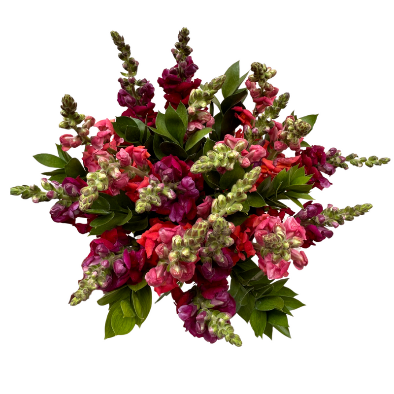 Send Flowers - Flower Delivery | Fresh Flowers on Florida