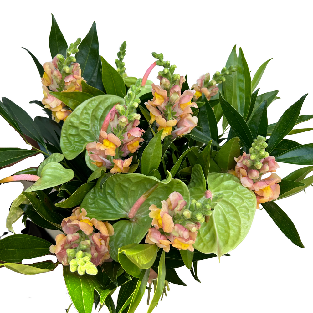 Flower Bouquets